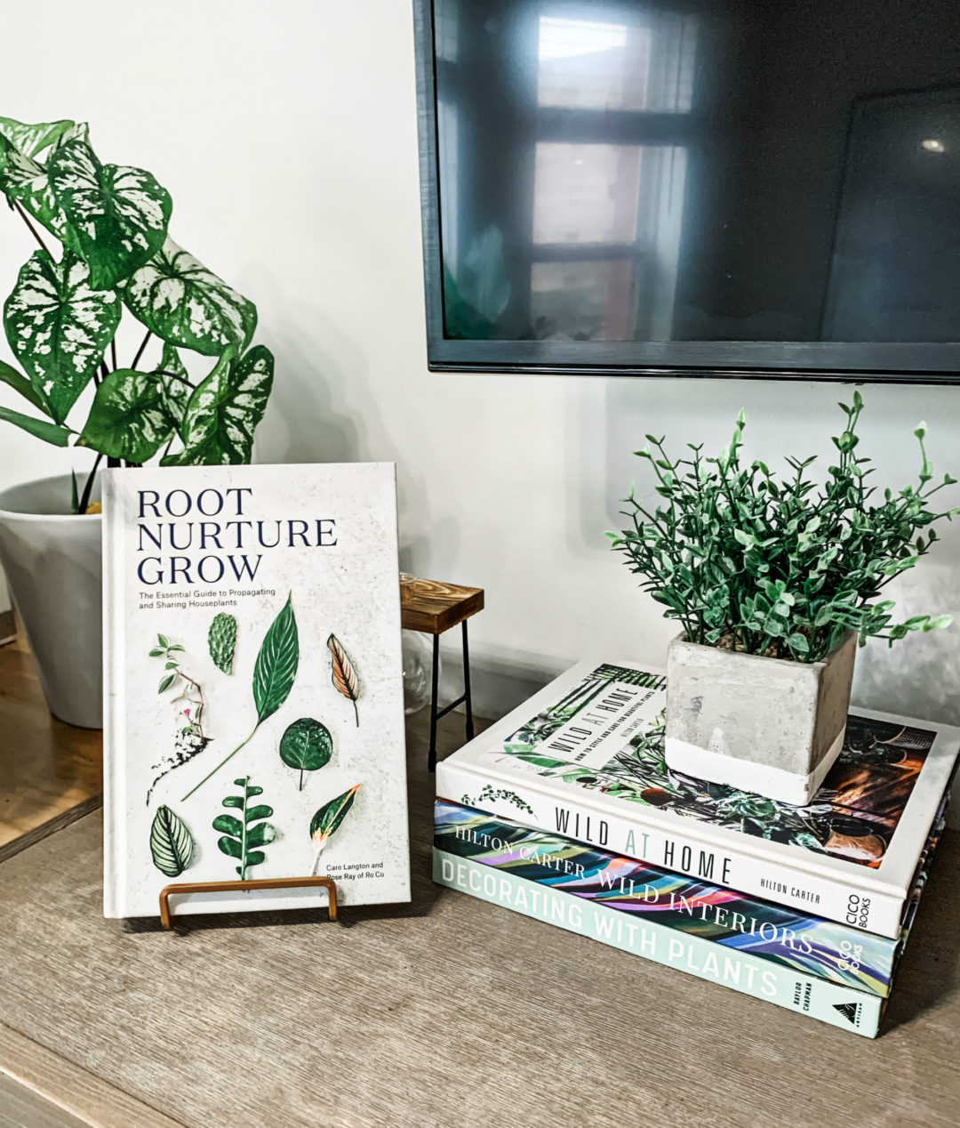 Beginner's Guide to Plant Propagation: Part One