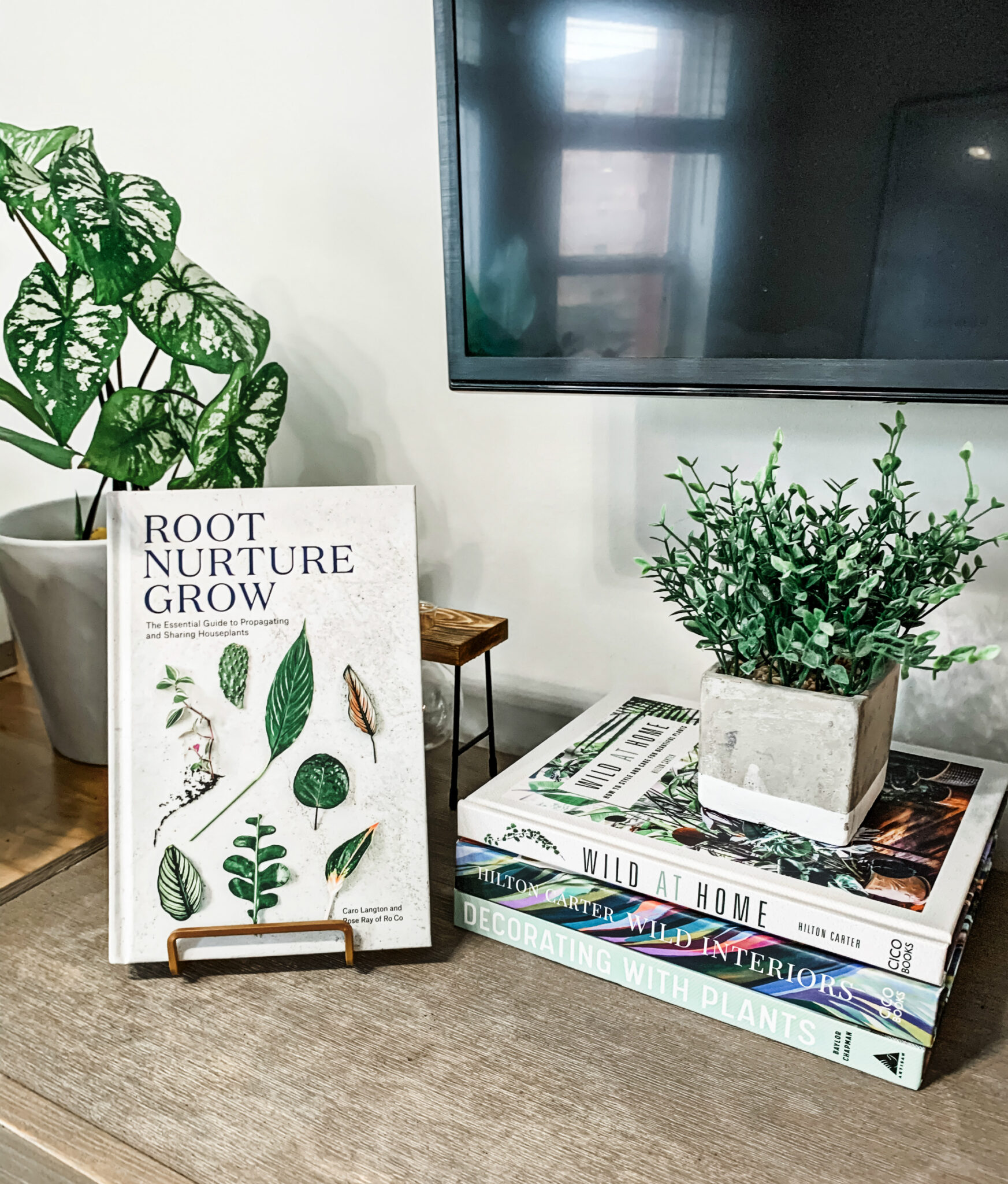 Beginner's Guide to Plant Propagation: Part One