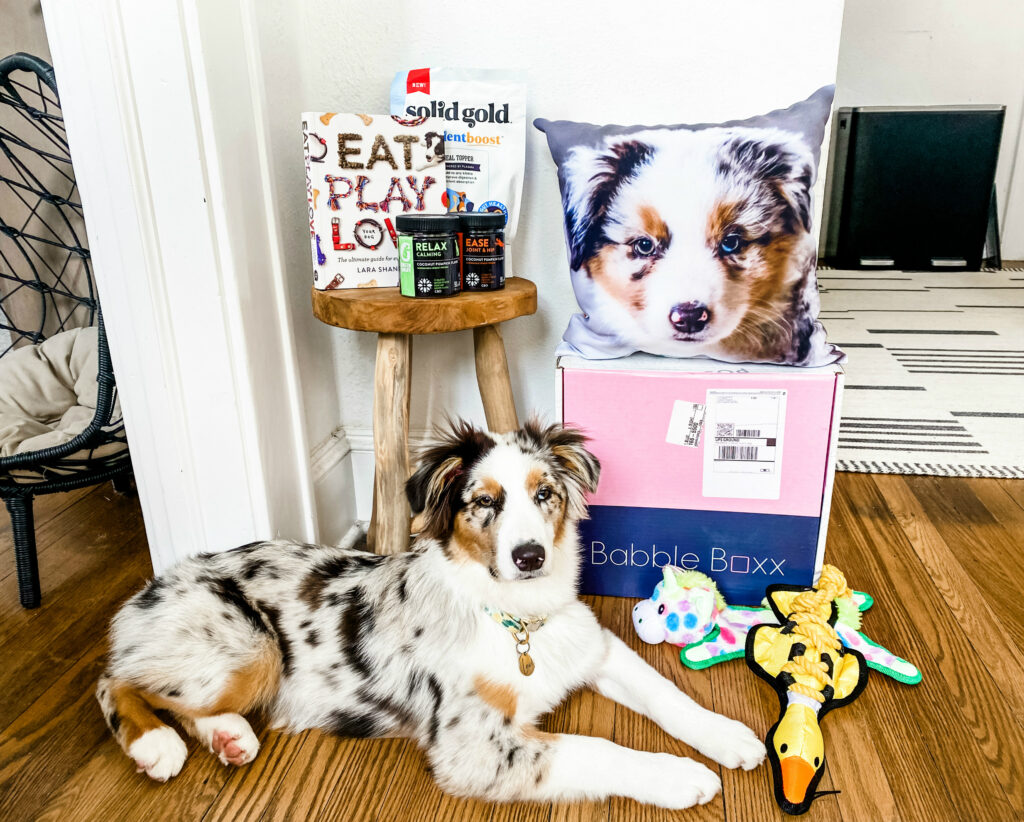 Babbleboxx - Best For Pets 2021