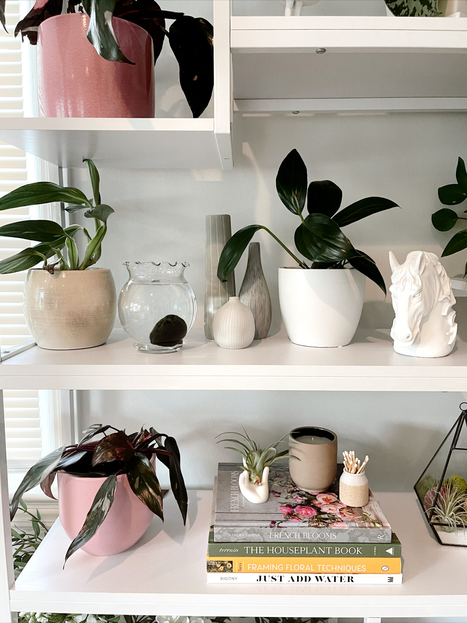 Bookshelf Styling With Plants
