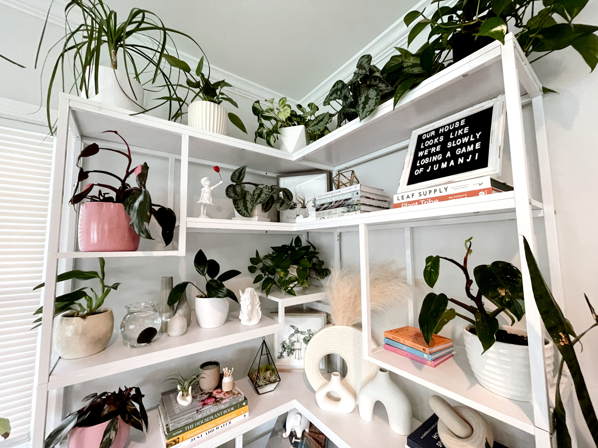 Bookshelf Styling With Plants