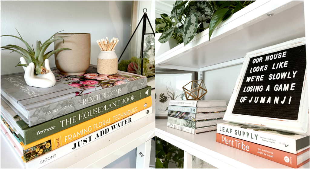 Bookshelf Styling With Plants